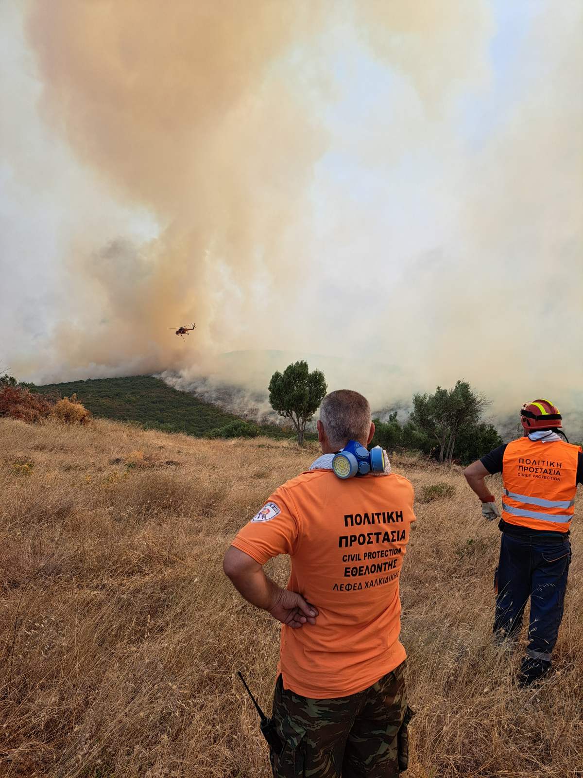 Συμμετοχή της ΛΕΦΕΔ Ν. Χαλκιδικής στην κατάσβεση της δασικής πυρκαγιάς ...