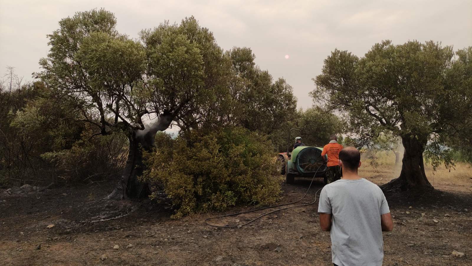 Συμμετοχή της ΛΕΦΕΔ Ν. Χαλκιδικής στην κατάσβεση της δασικής πυρκαγιάς ...