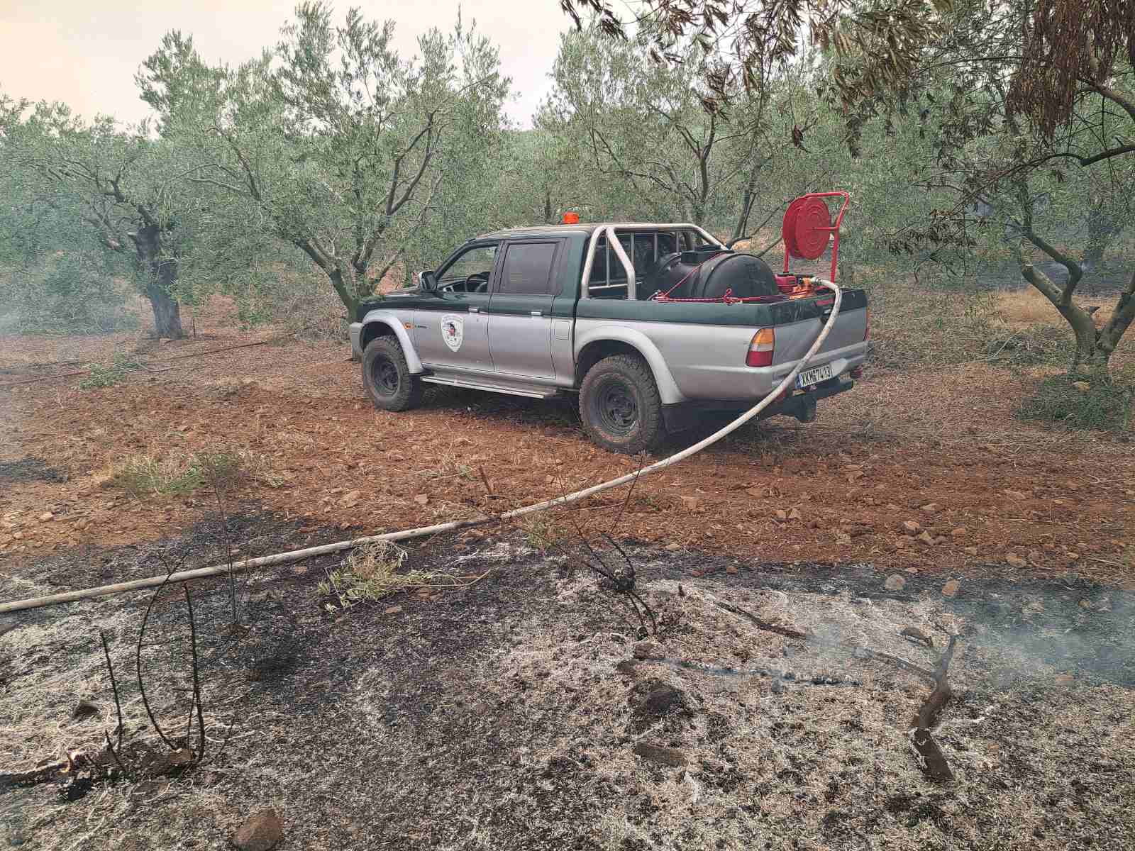 Συμμετοχή της ΛΕΦΕΔ Ν. Χαλκιδικής στην κατάσβεση της δασικής πυρκαγιάς ...