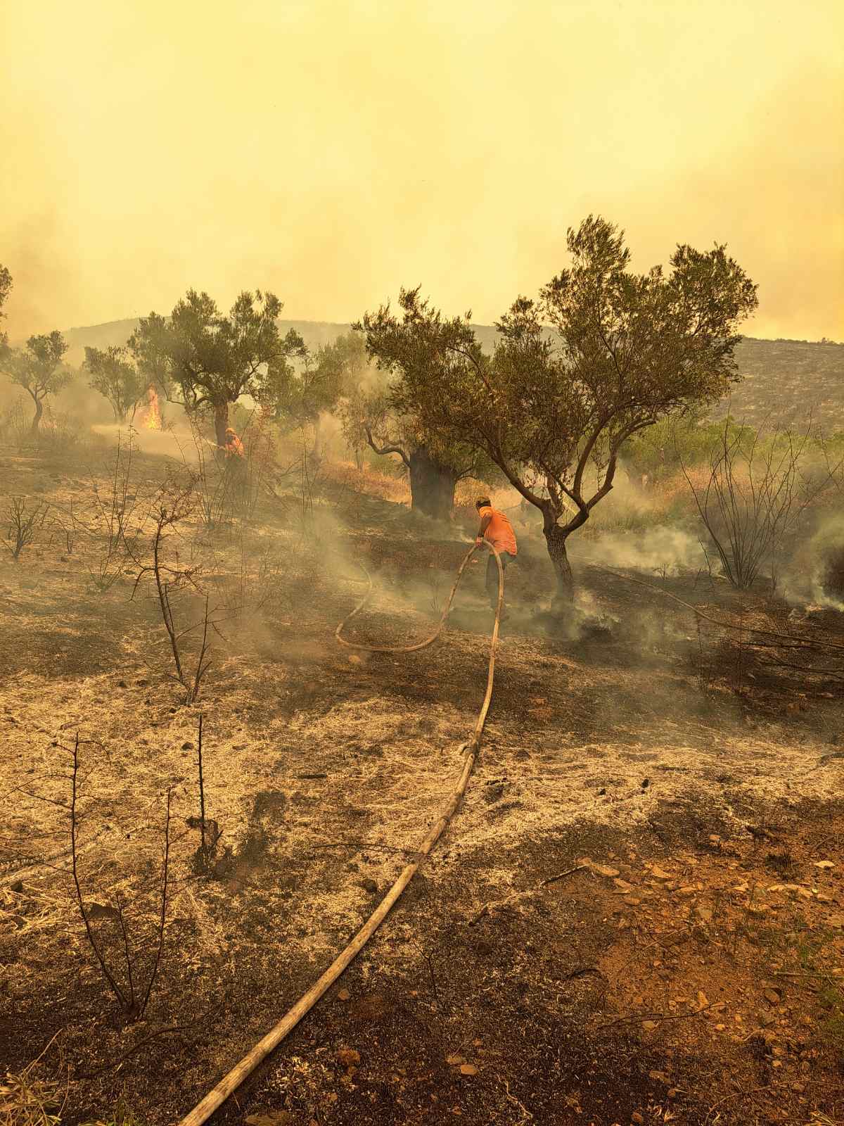Συμμετοχή της ΛΕΦΕΔ Ν. Χαλκιδικής στην κατάσβεση της δασικής πυρκαγιάς ...