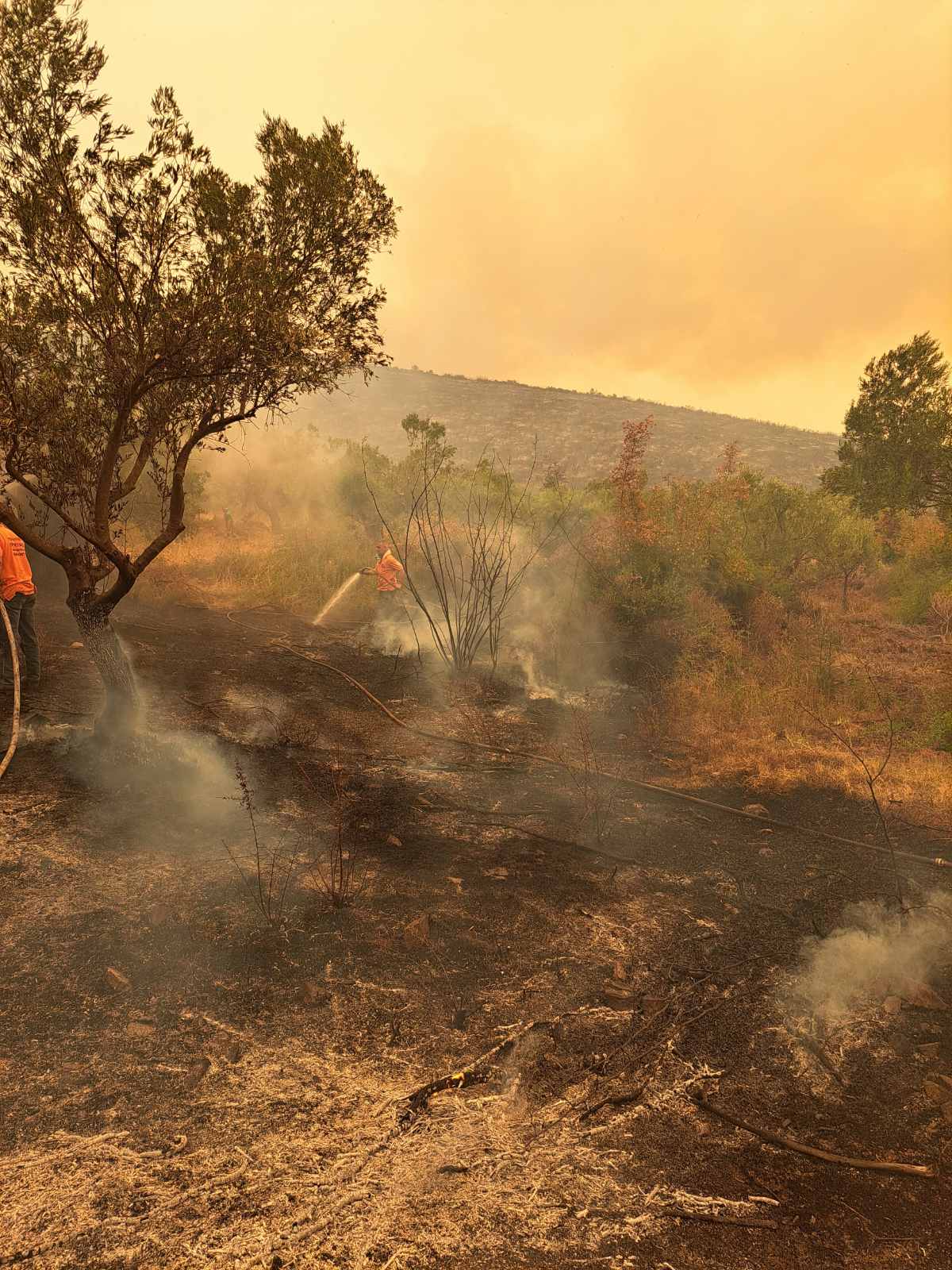 Συμμετοχή της ΛΕΦΕΔ Ν. Χαλκιδικής στην κατάσβεση της δασικής πυρκαγιάς ...